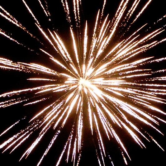 Elevated Fireworks™ | Buy Fireworks Online | Retail & Wholesale!